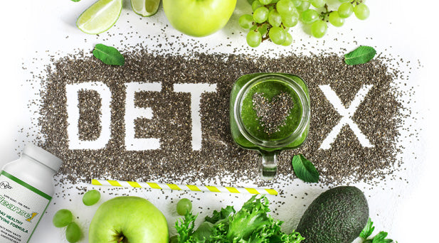 Blog.Pic02_3_1200x1200.jpg?v=1543357657